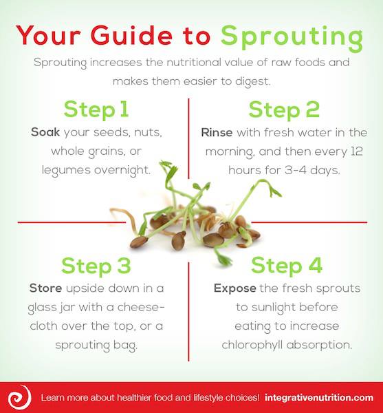 Your Infographic Guide to Sprouting!