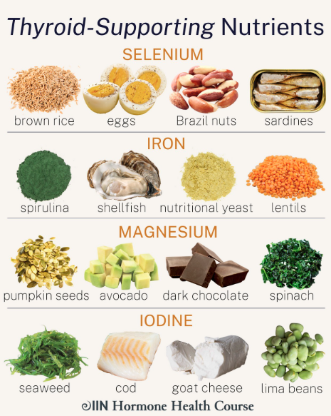 Thyroid Health 101: The Best Foods for Hormonal Balance
